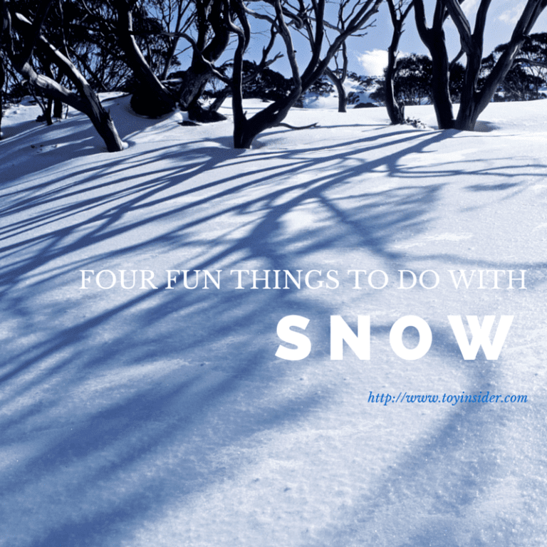 Four Ways to Play with Snow | The Toy Insider