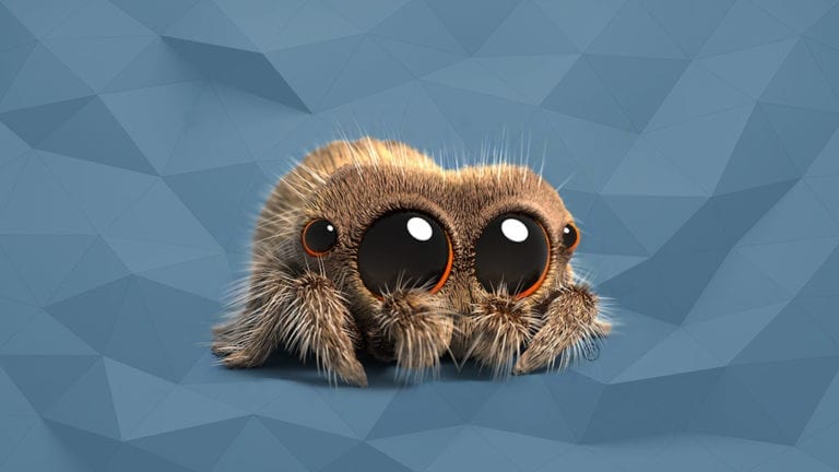 Kids Television: 'Lucas the Spider' | The Toy Insider