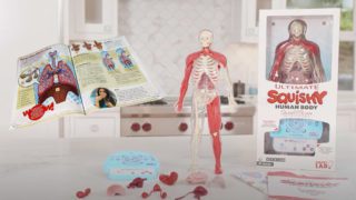 Explore Anatomy with the Ultimate Squishy Human Body with SmartScan ...