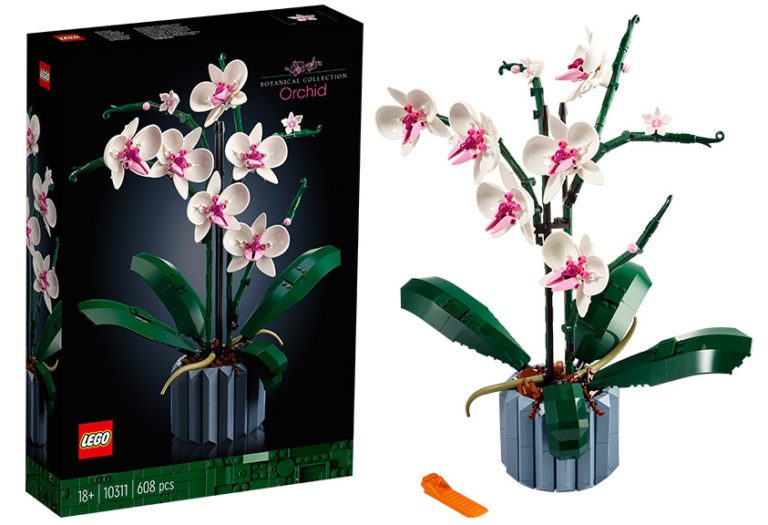 Build Up Your Favorite Houseplants with LEGO | The Toy Insider