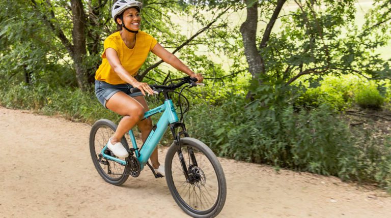 Tackle the Suburban Jungle with the Schwinn Healy Ridge Electric Bike ...