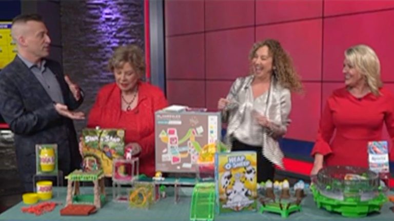 Toys for Family-Friendly Fun on Suncoast View | The Toy Insider