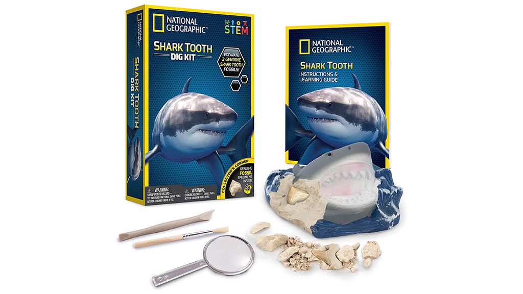 NATIONAL GEOGRAPHIC SHARK TOOTH DIG KIT | The Toy Insider