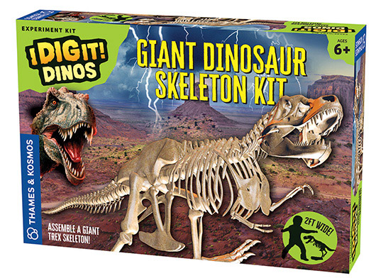 GIANT DINOSAUR SKELETON KIT | The Toy Insider