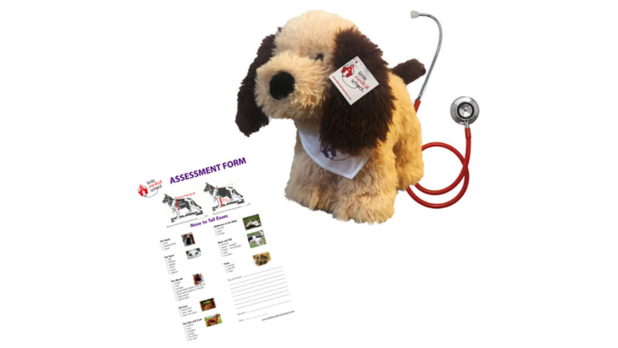 LITTLE VETERINARIAN SET | The Toy Insider