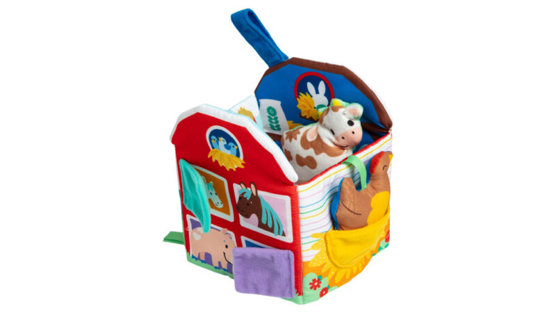 Ms. Rachel Surprise Learning Box Review | The Toy Insider