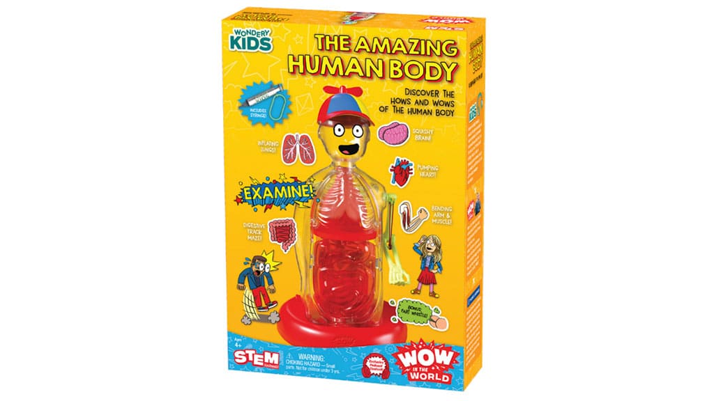 THE AMAZING HUMAN BODY | The Toy Insider