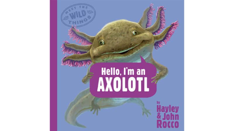 HELLO, I'M AN AXOLOTL (MEET THE WILD THINGS, BOOK 4) | The Toy Insider