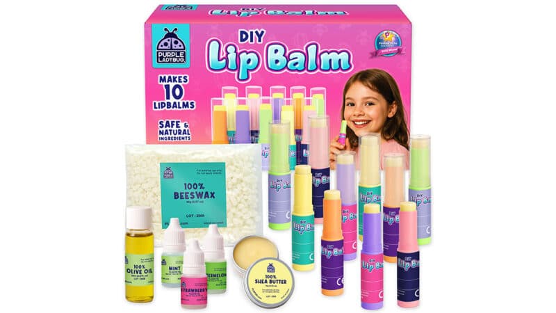 PURPLE LADYBUG DIY LIP BALM KIT | The Toy Insider