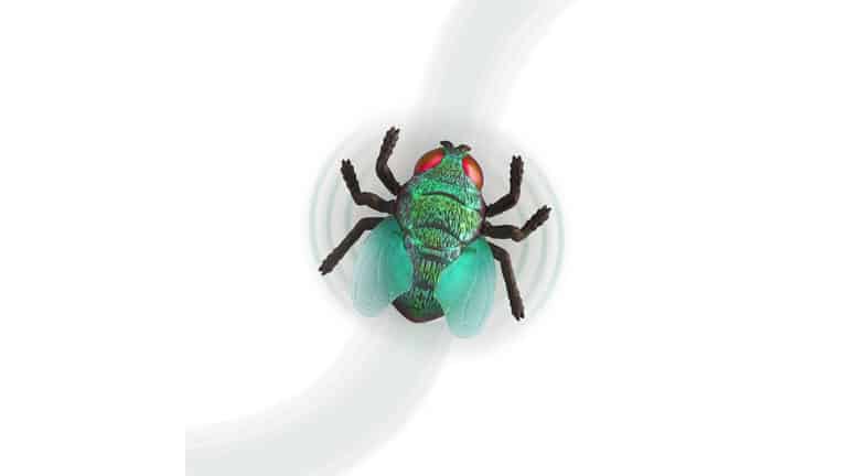 Go Wild with PMI Kids' World's New ‘The Creature Cases’ Toy Line | The ...